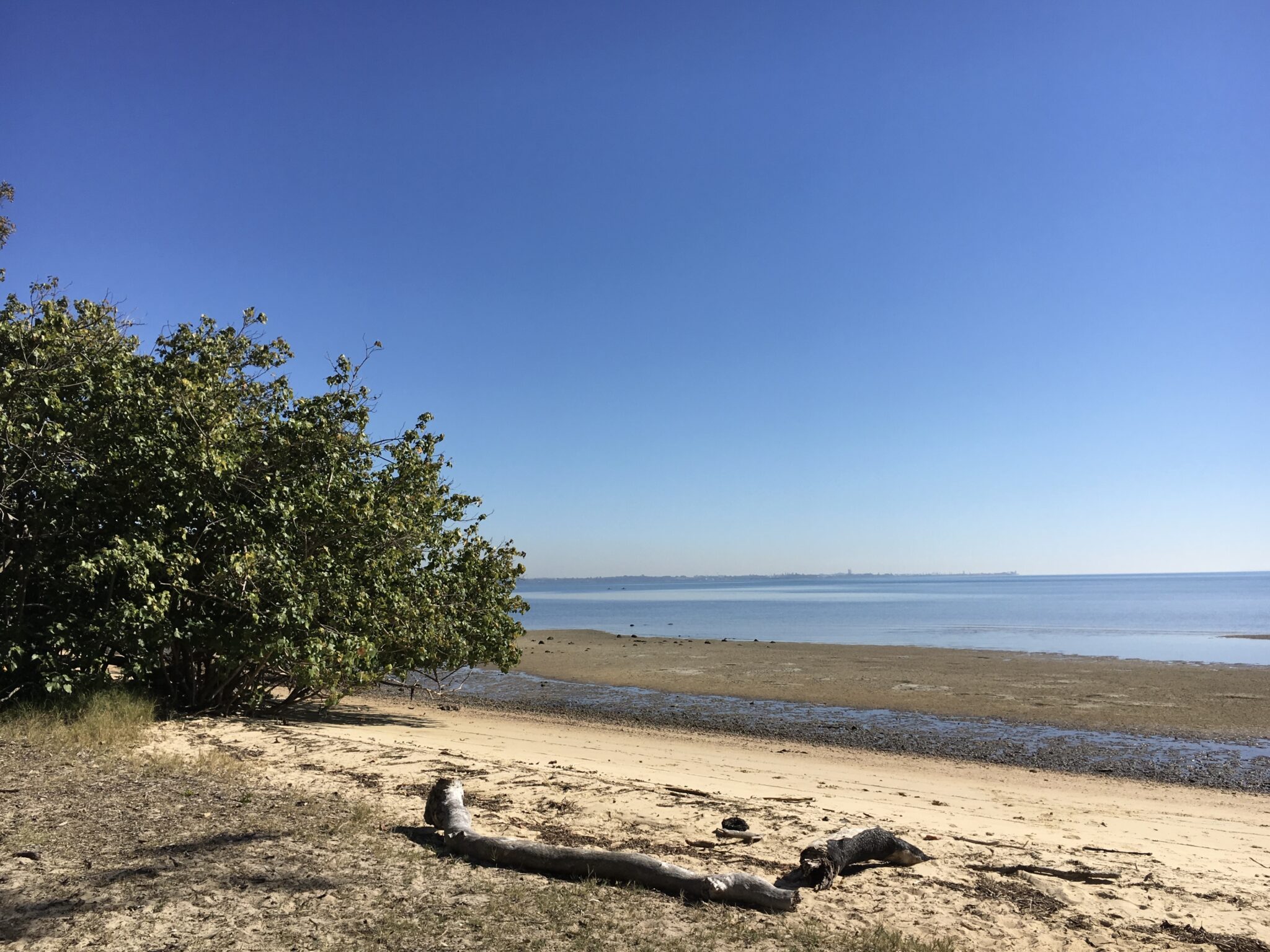 The Three Pure Land Sutras - Pure Land Buddhism: Offering a Stunning Hope