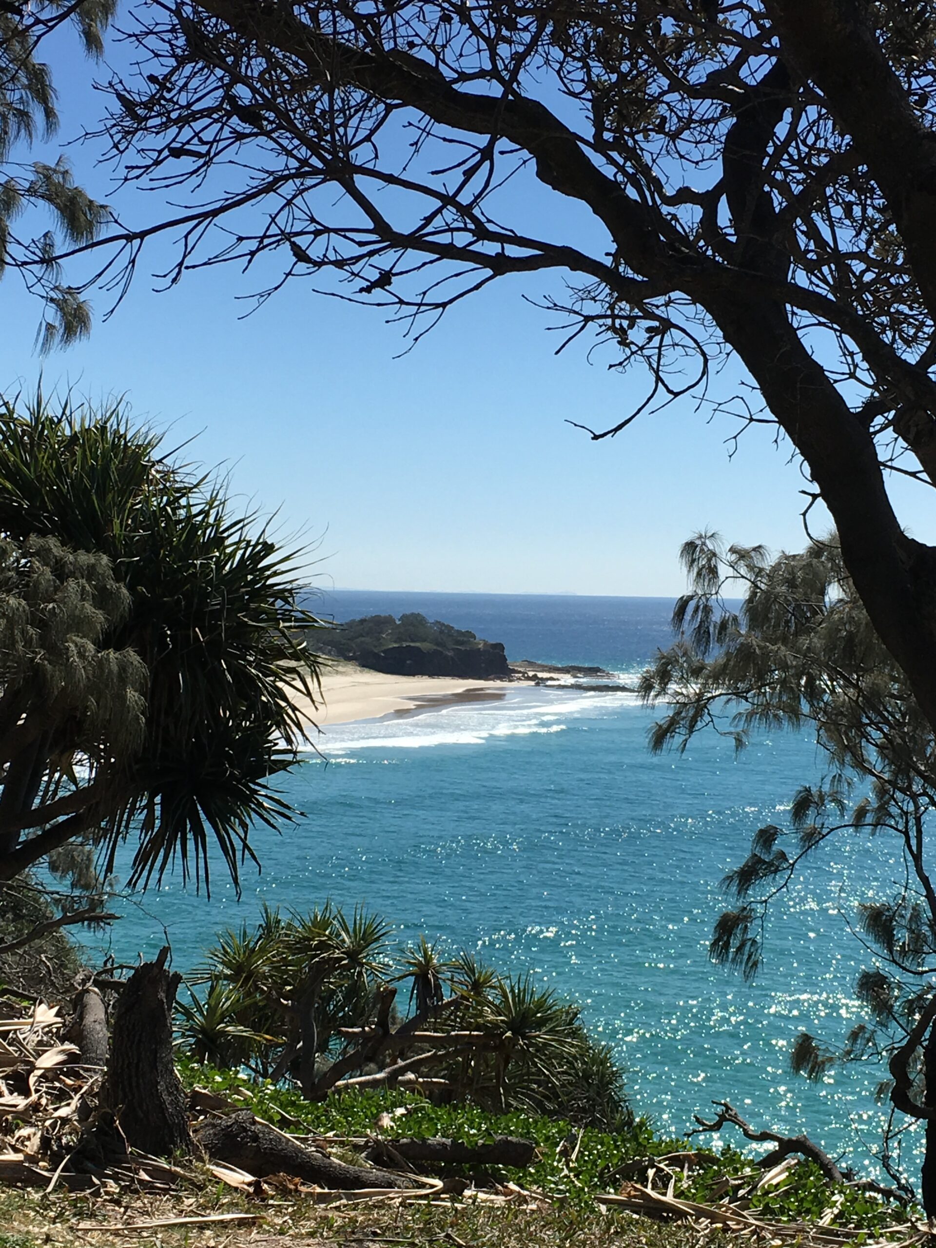 Home - Pure Land Buddhism: Offering a Stunning Hope